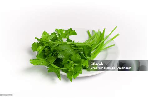 Apium 묘비 흰색 배경에 고립 된 화이트 케어 접시에 신선한 녹색 셀러리 건강한 식생활에 대한 스톡 사진 및 기타 이미지 건강한 식생활 그릇 다이어트 Istock
