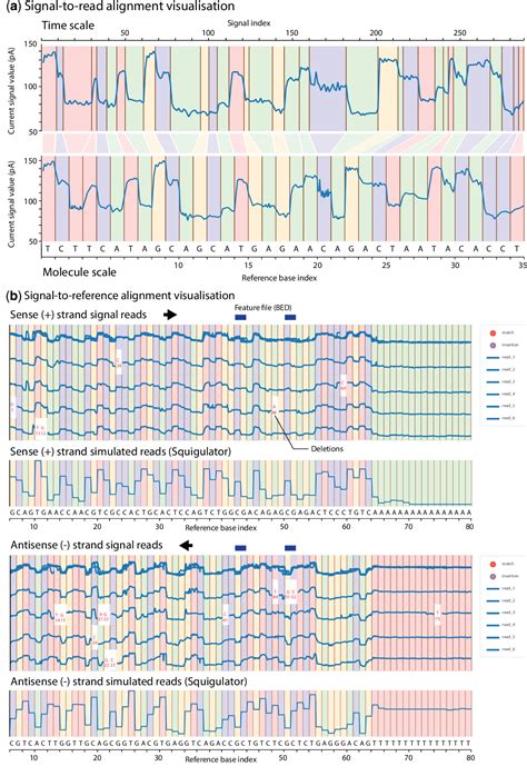 figure 1 from interactive visualization of nanopore sequencing signal