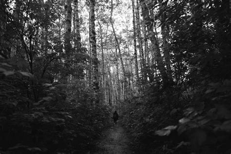 Not Everything Is Black And White Except Here Not Everything Is Black And White Except Here