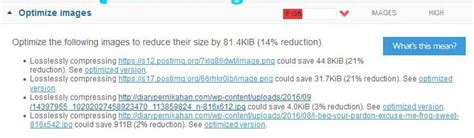 apa yang dimaksud gtmetrix serve scaled images and optimize images
