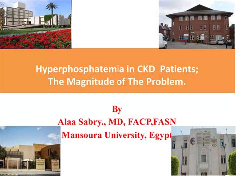 Hyperphosphatemia In Ckd Patients The Magnitude Of The Problem Prof