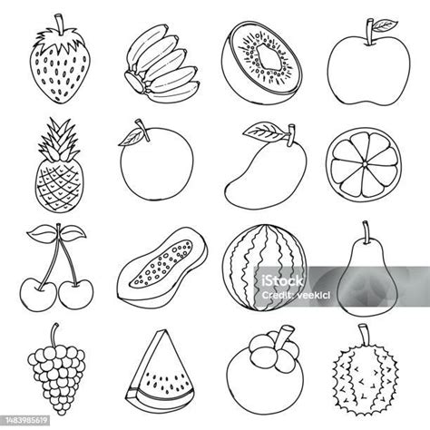 Jeu Dicônes Vectorielles Fruit Doodle Croquis De Dessin Illustration