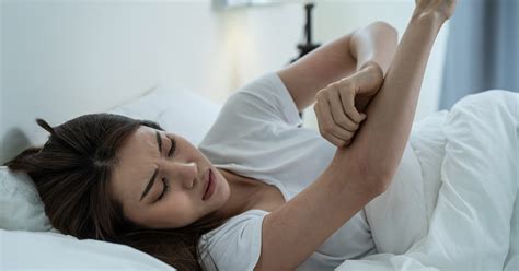 Bed Bug Bites Vs Mosquito Bites Which Are These