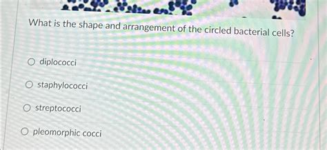 Solved What Is The Shape And Arrangement Of The Circled