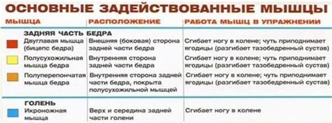 Сгибание ног лежа в тренажере фото и видео упражнения Ytb