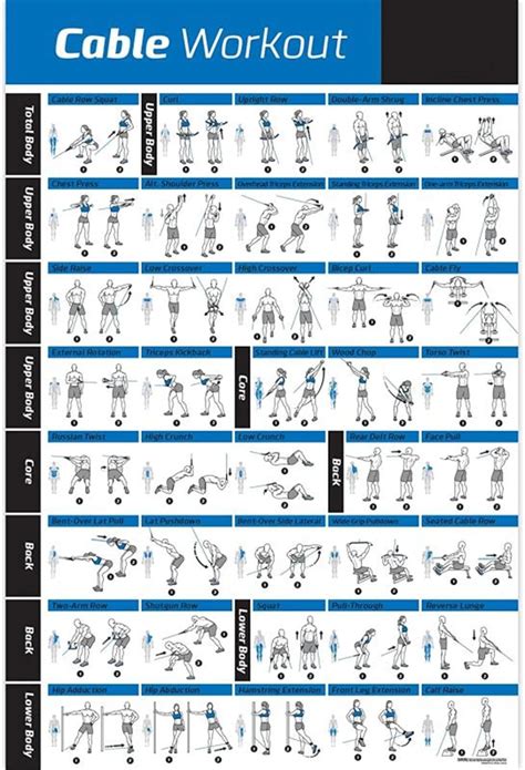 Printable Cable Machine Exercises Chart