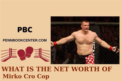 Mirko Cro Cop Net Worth 2024 His Financial Journey And Career Highlight