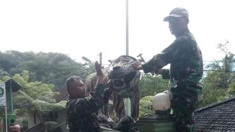 Jadi Viral Patung Harimau Lucu Cisewu Malah Dirobohkan Alasannya
