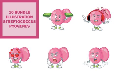 Streptococcus Pyogenes Bundle Graphic By Kongvector2020 · Creative Fabrica