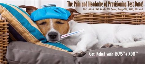 ESAi XDM Enterprise Wide Test Data Management BCV Db Cloning Tools Fast Environment