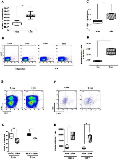 Spleen Cells From Infected B6 Mice Were Harvested And Stimulated For 5