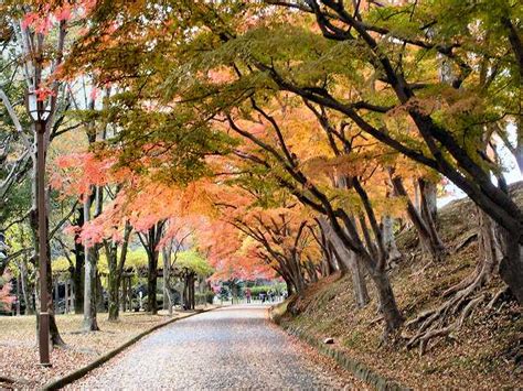 姫路城の紅葉舞子の浜小さな旅