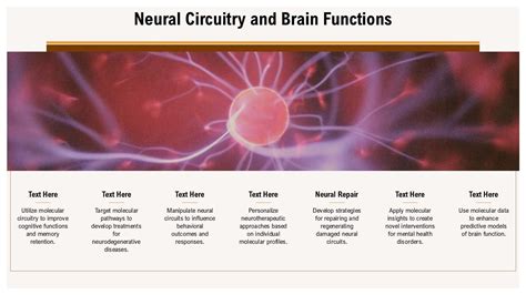 Molecular Circuitry Neuroscience Ppt Presentation Acp Ppt Template