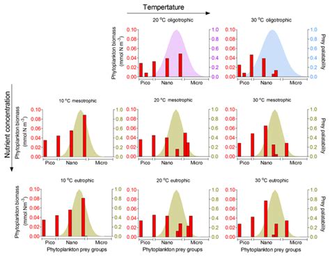 Bg Peer Review A Trait Based Modelling Approach To Planktonic