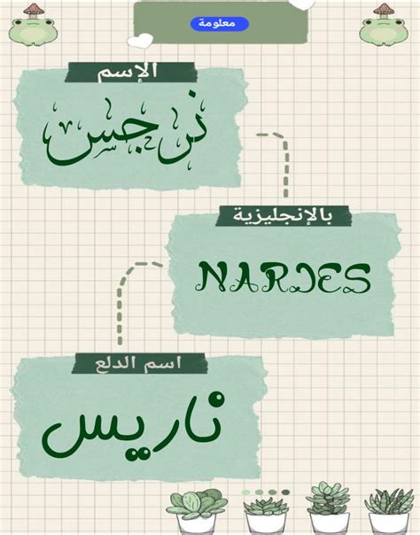 دلع اسم نرجس 2022 أحلى دلع إسم نرجس بالانجليزي Narjes