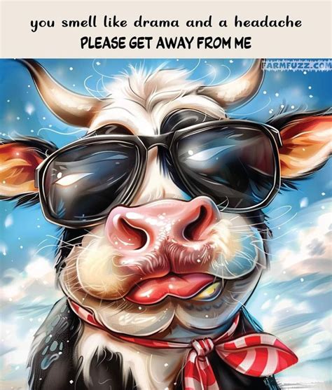Pin By Cynthia Brizendine On Funny Quotas Pictures In 2024 Cows