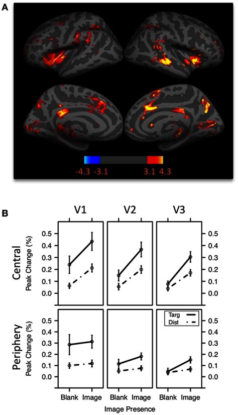 The Target Mediated Boost A Target Tones Were Associated With Download Scientific Diagram