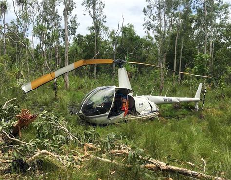 Atsb Investigation On Crocodile Egg Handling Avfoil Posted On The