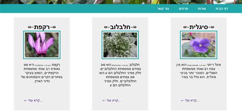Html Css בב שיעור 5 Sectioning Psoude Class And Elements