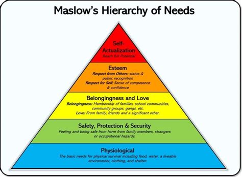 Maslows Hierarchy Of Needs And Examples