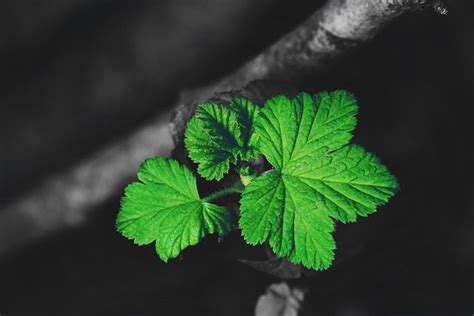 Shatabdi Datta On Linkedin Linkedinforcreators Contentcreation
