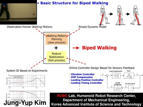 realization of dynamic walking of biped humanoid robot ppt download