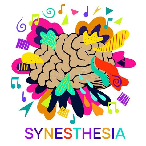 Synesthesia Brain Stock Illustrations 30 Synesthesia Brain Stock
