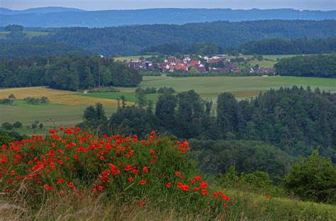 🎖 Diversidad Cultural 5 Claves Para Fomentar El Respeto Y La Inclusión
