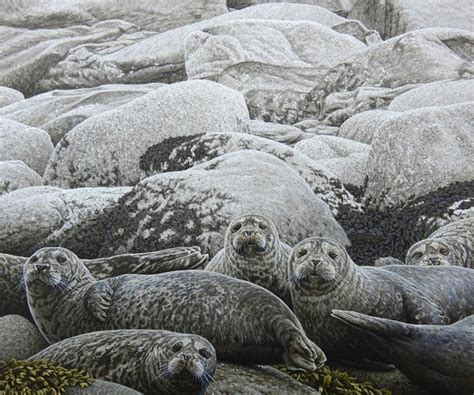 W Allan Hancock Whiterockgallery