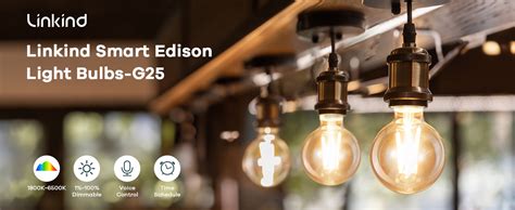 Aidot Linkind G25 Matter Smart Light Bulbs
