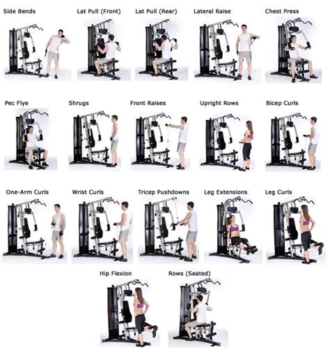 Xrs Exercise Chart