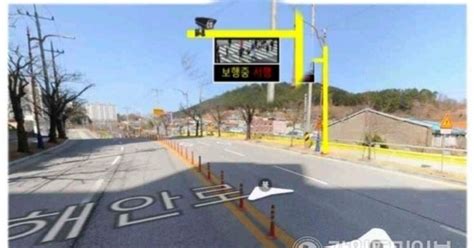 동해지역 초등학교 스쿨존 스마트횡단보도 시스템 구축 추진