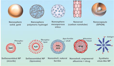 Engineered Nanomaterials And Human Health Part 1 Preparation Functionalization And