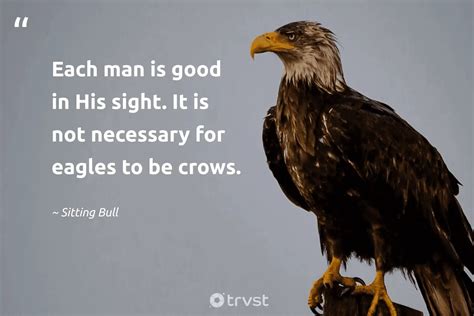 65 Eagle Quotes That Can Help You Conquer The Sky 2024