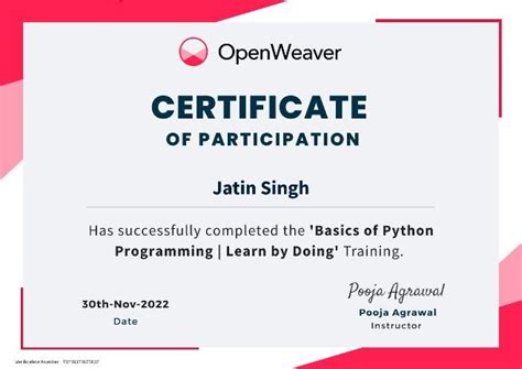 jatin singh on linkedin 😀basics of pyhton programming openweaver