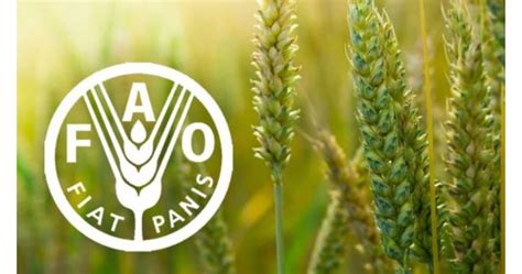 ООН обяви старта на десетилетието на семейното земеделие Български Фермер