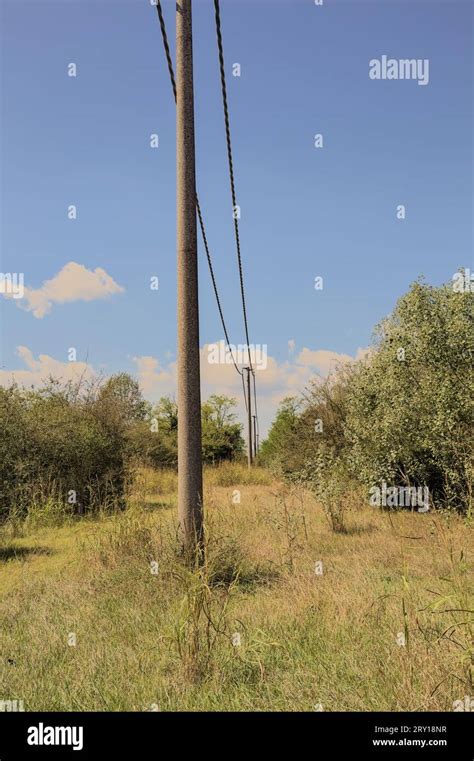 Wooden Pylons Of A Power Line In A Row Inside A Corridor Of A Forest In