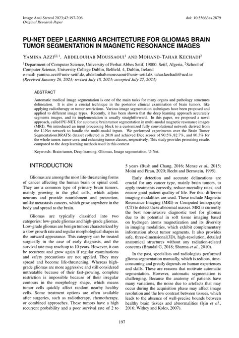 pdf pu net deep learning architecture for gliomas brain tumour