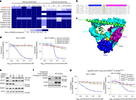 Active Compounds Suppress Ar Expression By Targeting The Rbp Nono A