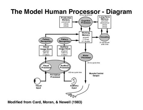 Hci And Psychology Hci And Psychology