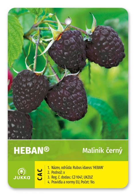 Malina Heban Jukka Sk