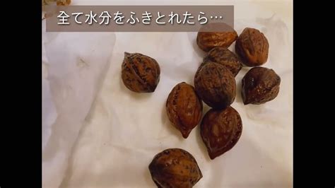 クルミを半分に綺麗に割る方法 Youtube