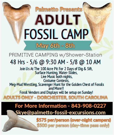 Adult Day Camp Mayfest Palmetto Fossil Excursions
