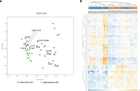 Frontiers Decoding Immune Related Gene Signatures In Colorectal Neoplasia