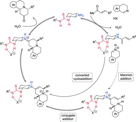 Asymmetric Cycloaddition Reactions Catalyzed By Bifunctional Thiourea