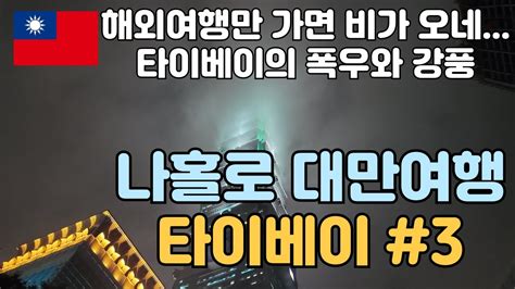나홀로 대만여행🇹🇼 타이베이 3일차 폭우에 강풍에 버스까지 놓치고 Youtube