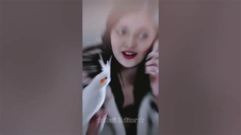 মানুষ মৃত্যুর আগ পর্যন্ত কাউকে ভুলতে পারে না Natokvairalvideo