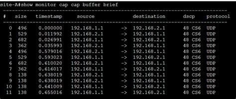 troubleshoot ipsec tunnels and common control plane issues with packet