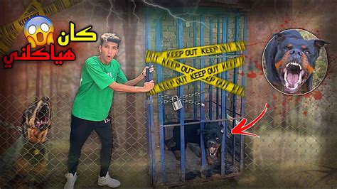 حبست كلب مجنون ساب من صحبه اخطر تجربه 😱 Youtube