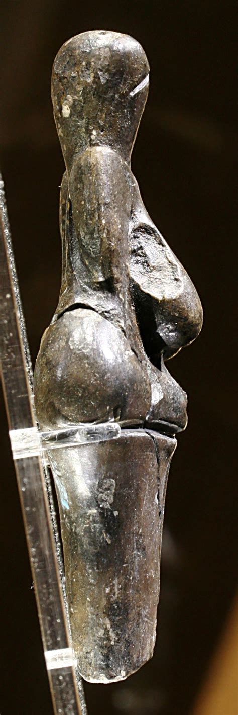 Dolni Vestonice Venus Figures